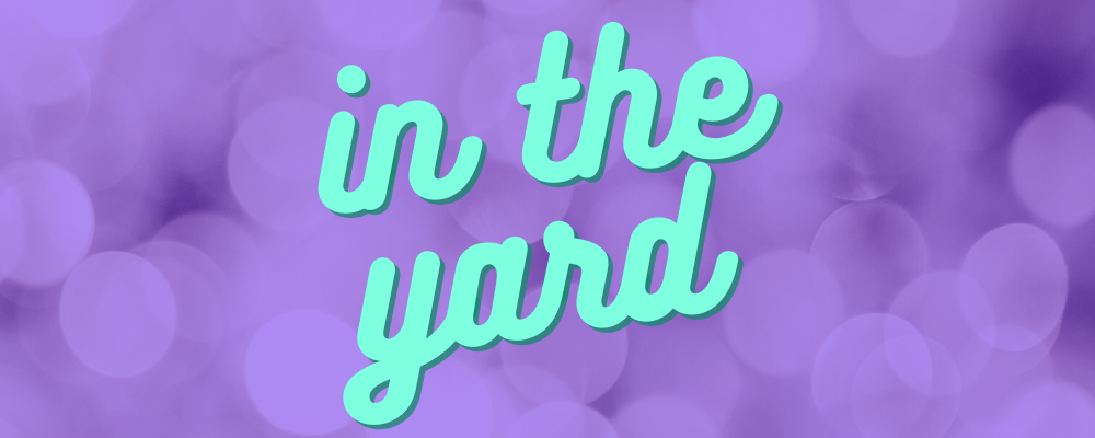 Yard | Pony Magazine