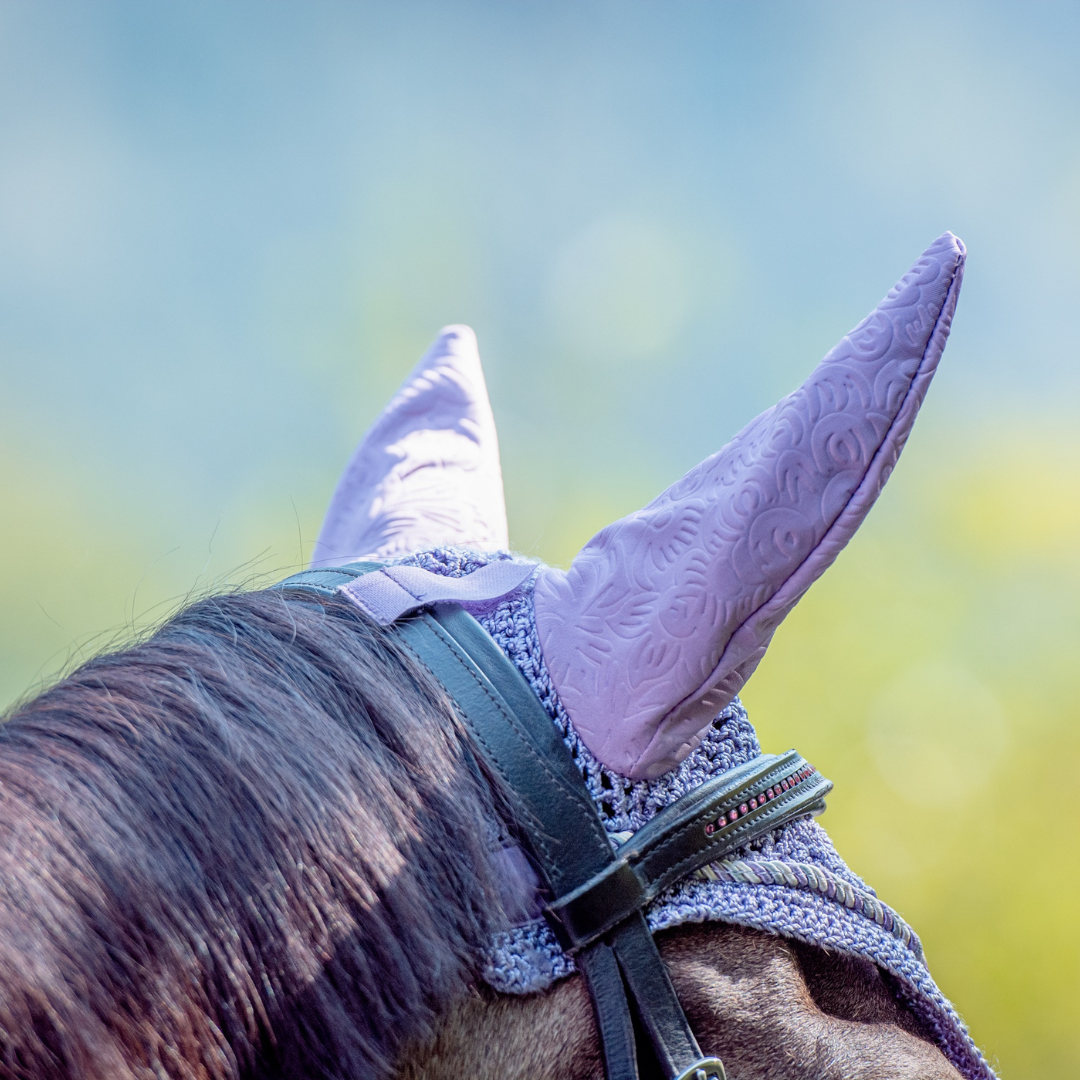 ASKPONY: WHY EAR BONNETS? | Pony Magazine