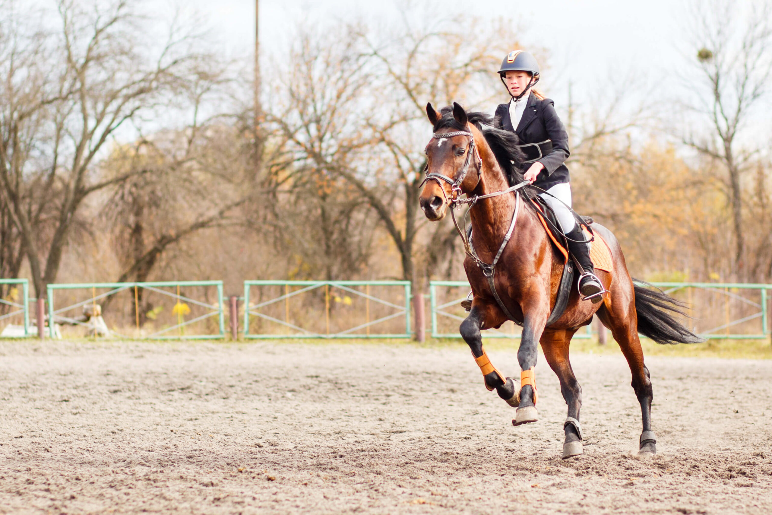 ASKPONY: BRIDGING THE REINS | Pony Magazine